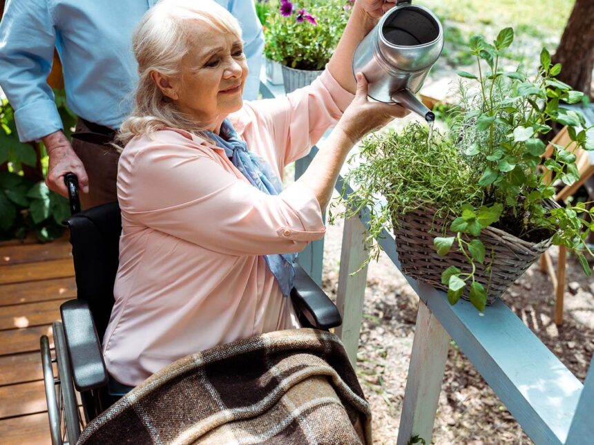 Social Outings & Companionship - SNE Care - Supporting and Nuturing ...